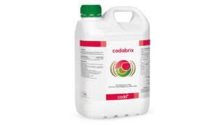 CODABRIX - Grupo Hubel